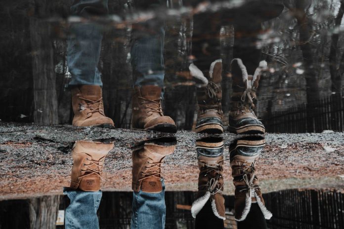 Shanks: Everything You Need To Know | WorkingPerson.me